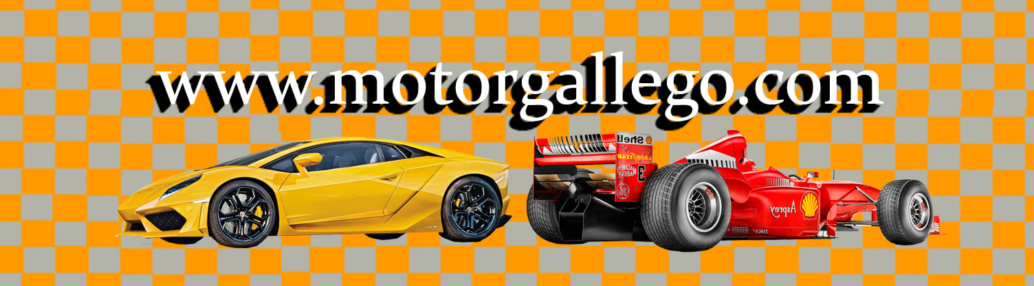 RALLY DE JAPÓN 2025 - Motor Gallego